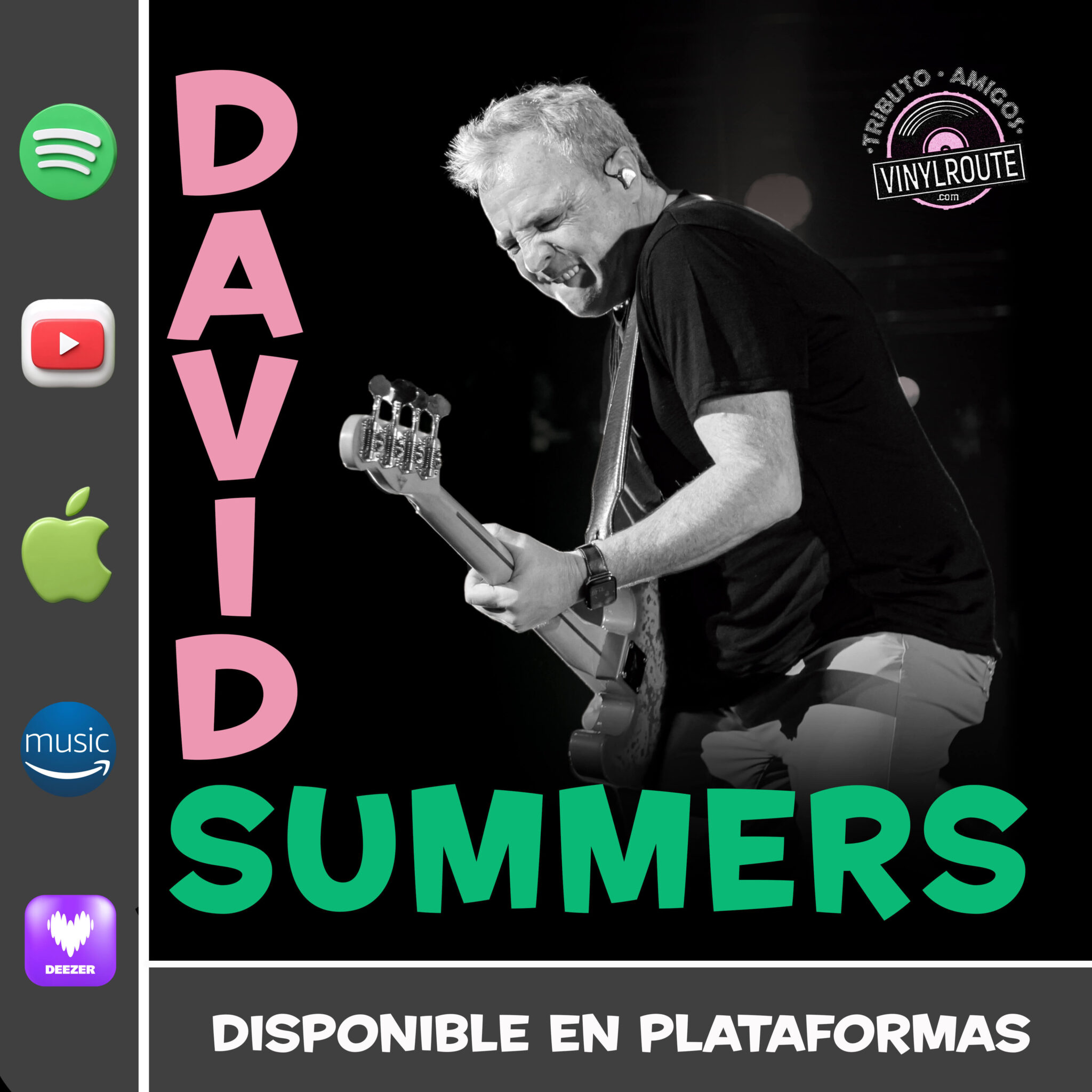 "Ya en plataformas"Varios - Tributo Amigos VinylRoute a David Summers ...